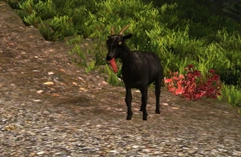 Geten, Mark and Midnight | Villains Wiki | Fandom