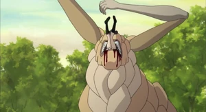 Cerberus (Blood-C)/Gallery | Villains Wiki | Fandom