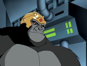 Gorilla Grodd (DC Animated Universe)/Gallery | Villains Wiki | Fandom