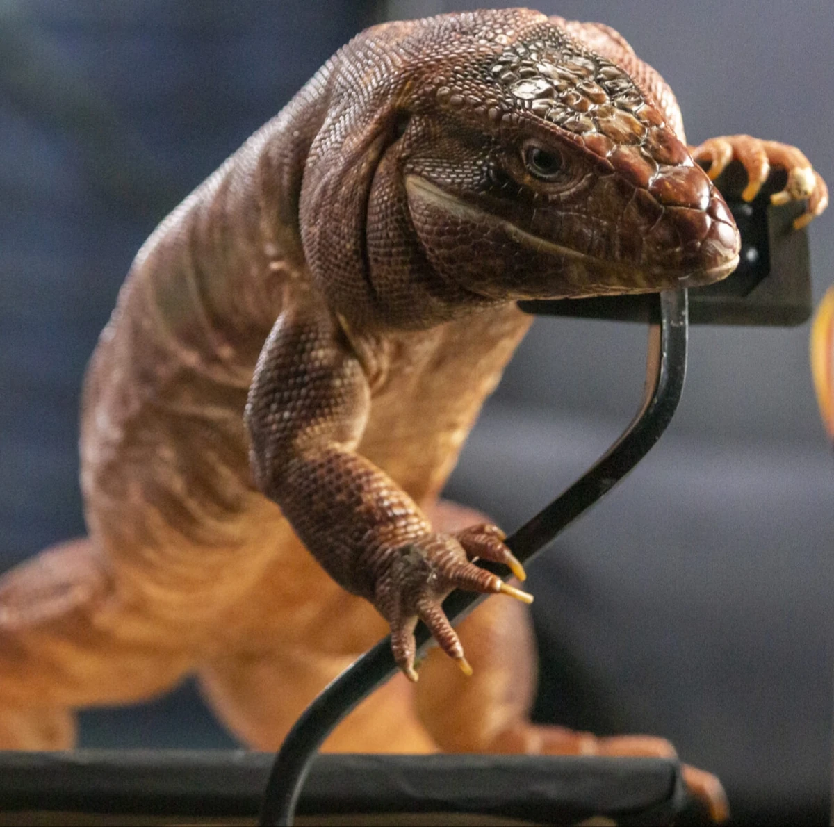 Zeke (Cats & Dogs) | Villains Wiki | Fandom