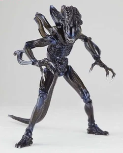 Xenomorph Warrior Villains Wiki Fandom List Of Superman Enemies