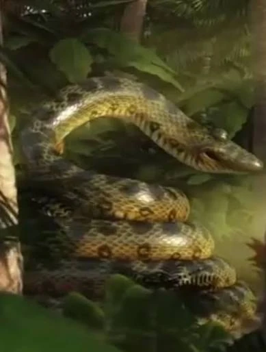 Anaconda (The Jungle Bunch | Villains Wiki | Fandom