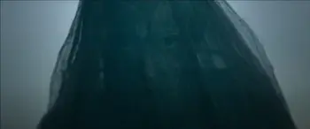 The Crone | Villains Wiki | Fandom