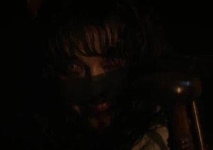 Mirror Demon (The Conjuring Universe) | Villains Wiki | Fandom