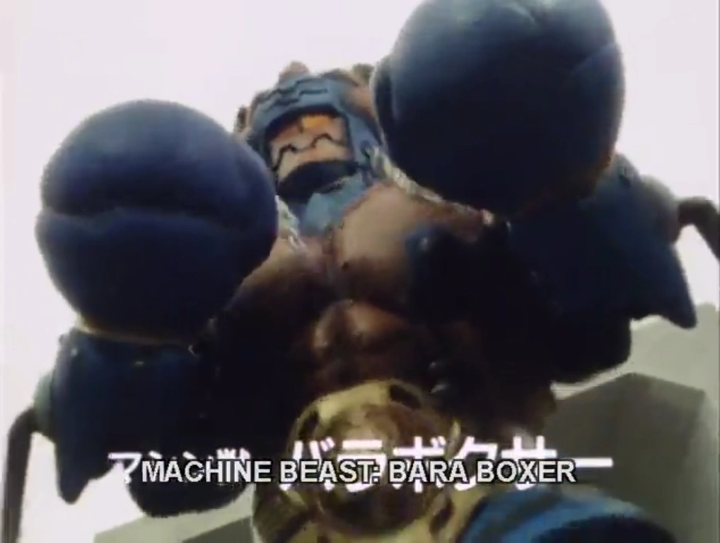 Bara Boxer | Villains Wiki | Fandom