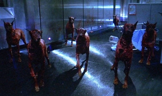 Zombie Dogs/Gallery | Villains Wiki | Fandom