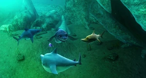 Troy (The Reef)/Gallery | Villains Wiki | Fandom