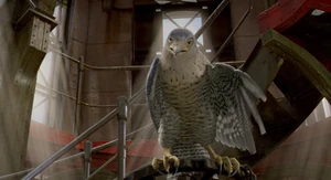 Falcon (Stuart Little)/Gallery | Villains Wiki | Fandom