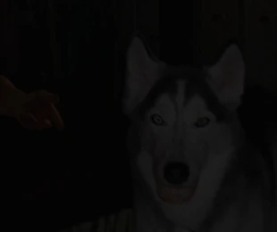 Smile Dog/Gallery | Villains Wiki | Fandom