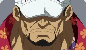 Akainu/Gallery | Villains Wiki | Fandom