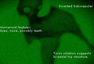 SCP-1170-2 | Villains Wiki | Fandom
