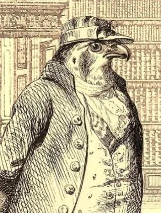 Jayjay Falcon | Villains Wiki | Fandom