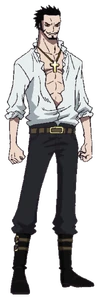 Dracule Mihawk | Villains Wiki | Fandom