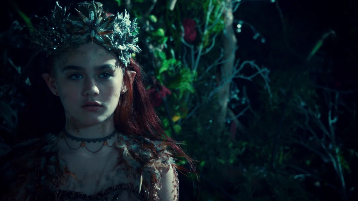 Seelie Queen | Villains Wiki | Fandom