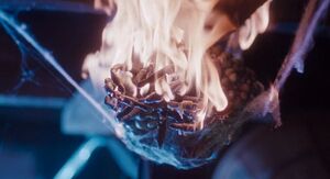 General Spider/Gallery | Villains Wiki | Fandom