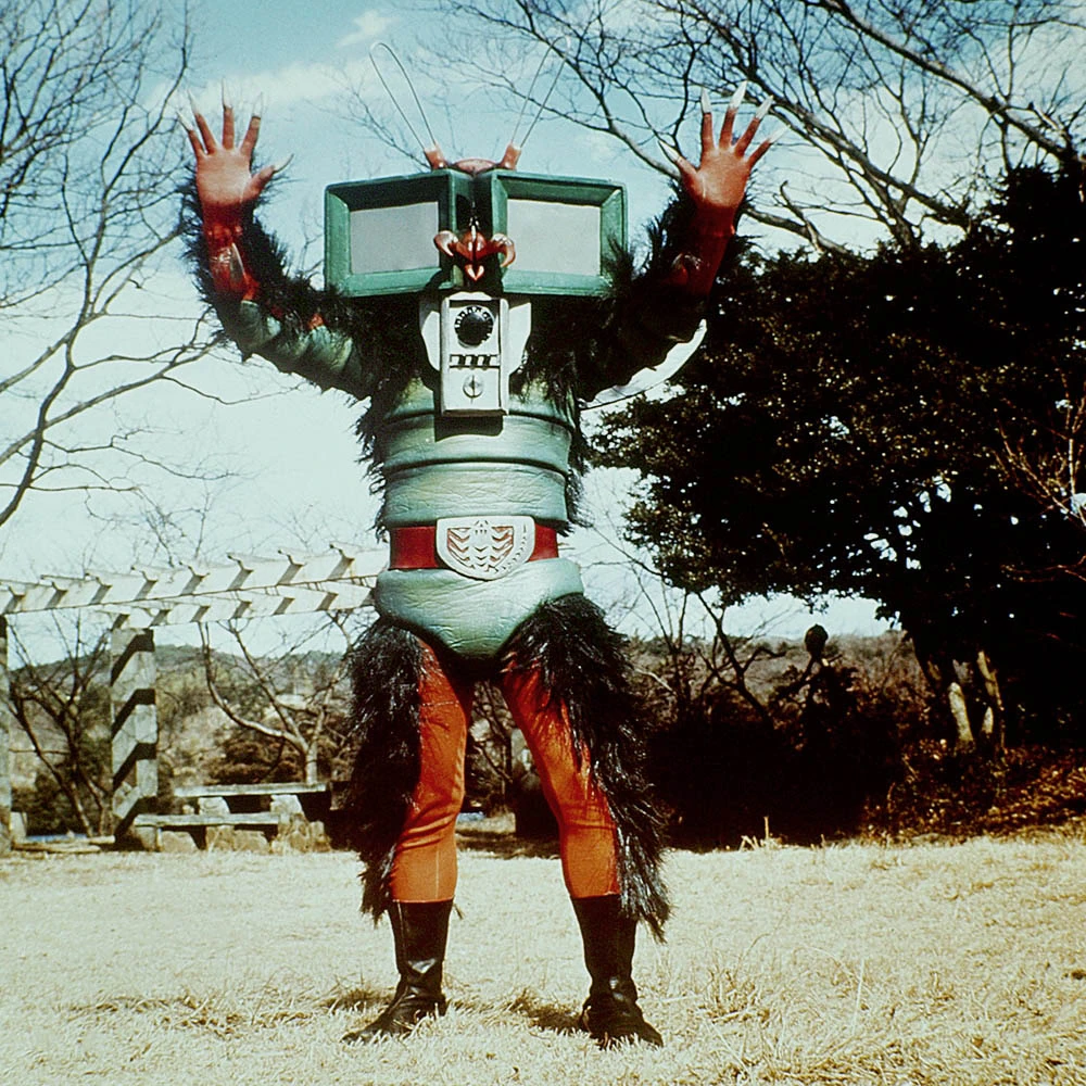 TV Fly | Villains Wiki | Fandom