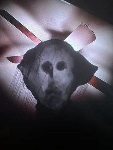 The Boiled One | Villains Wiki | Fandom