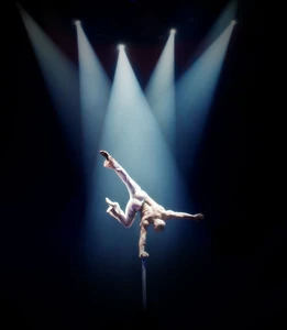 Herman Fuller's Circus of the Disquieting/Gallery | Villains Wiki | Fandom