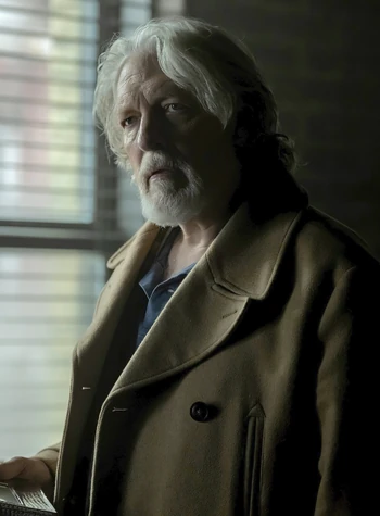 Salvatore Maroni (The Batman Saga) | Villains Wiki | Fandom