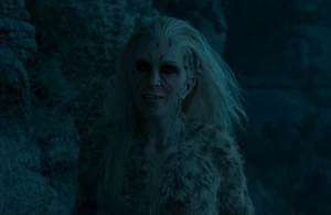 Cheetah (DC Extended Universe)/Gallery | Villains Wiki | Fandom