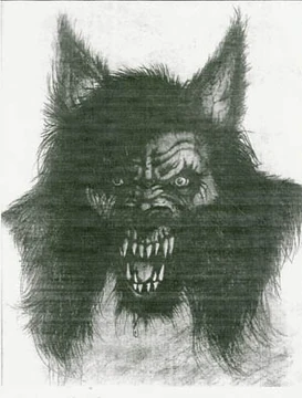 Manistee Dog Man