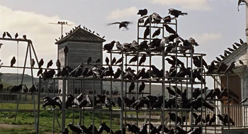 The Birds | Villains Wiki | Fandom