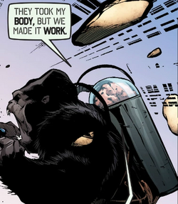 Brain (DC) | Villains Wiki | Fandom