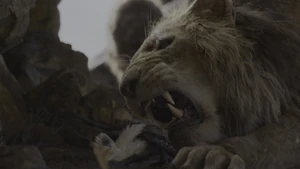 Scar (remake)/Gallery | Villains Wiki | Fandom