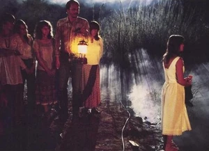 Unity Fields Cult | Villains Wiki | Fandom