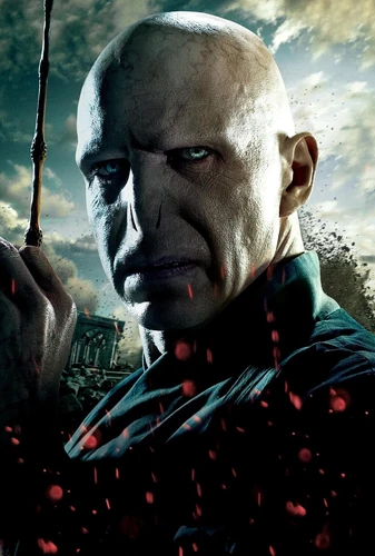 Lord Voldemort | Villains Wiki | Fandom