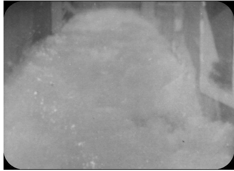 Weed Creature | Villains Wiki | Fandom