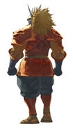 Garuda (Street Fighter) | Villains Wiki | Fandom