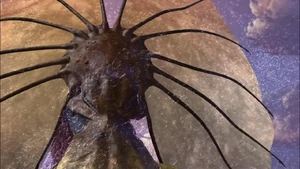 Cetus (Sinbad)/Gallery | Villains Wiki | Fandom