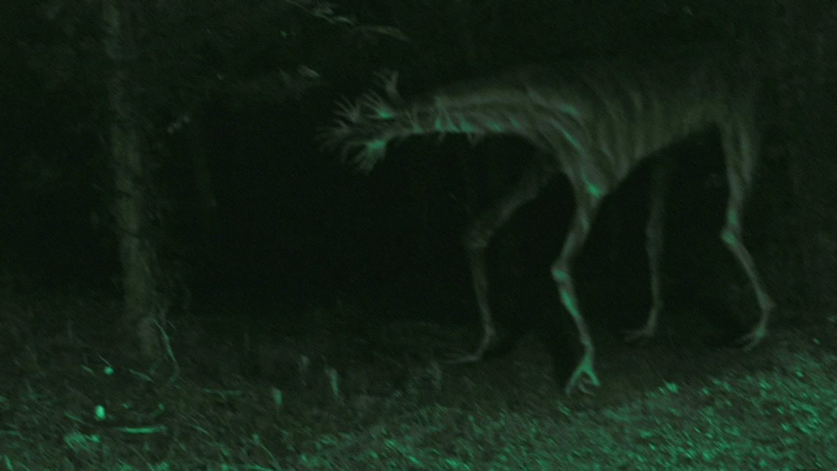 Hand Prints | Villains Wiki | Fandom