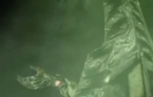 Mental | Villains Wiki | Fandom