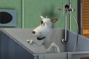 Baxter (Back at the Barnyard) | Villains Wiki | Fandom