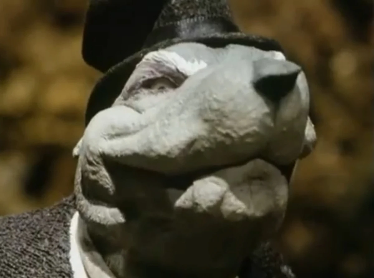 White-Faced Weasel | Villains Wiki | Fandom