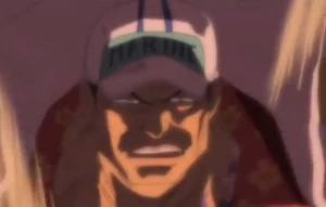 Akainu/Gallery | Villains Wiki | Fandom