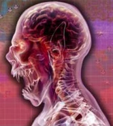 Vampires (Plague Inc.) | Villains Wiki | Fandom