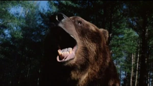 Grizzly Grizzly 1976 Gallery Villains Wiki Fandom