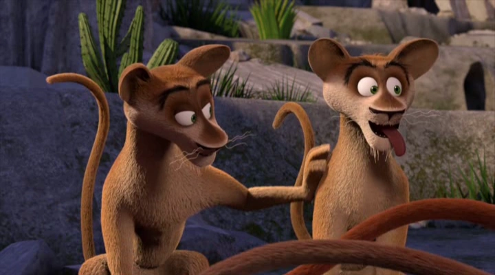 Fossas (Madagascar)/Gallery | Villains Wiki | Fandom