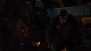 Grodd (Arrowverse)/Gallery | Villains Wiki | Fandom