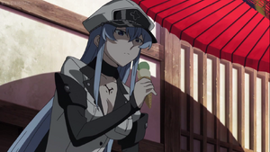 Esdeath/Gallery | Villains Wiki | Fandom