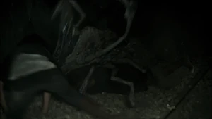 Parasites (Cloverfield) | Villains Wiki | Fandom