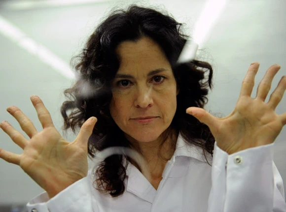 Mr. Yang | Villains Wiki | Fandom