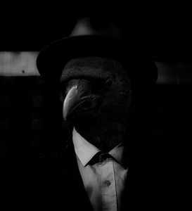 Faeries (SCP Foundation) | Villains Wiki | Fandom