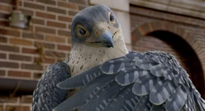 Falcon (Stuart Little)/Gallery | Villains Wiki | Fandom