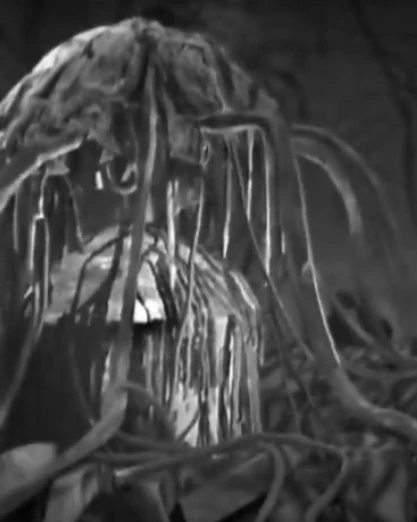 Animus (Doctor Who) | Villains Wiki | Fandom