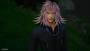 Marluxia/Gallery | Villains Wiki | Fandom
