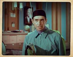 Killer Moth (Adam West Batman) | Villains Wiki | Fandom